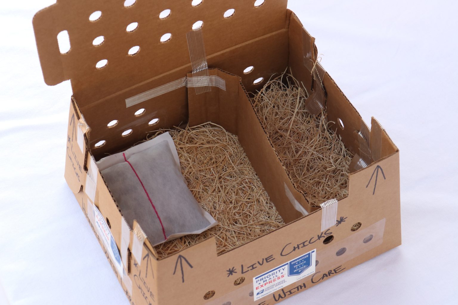 Safely Ship Day Old Chicks - Backyard Poultry